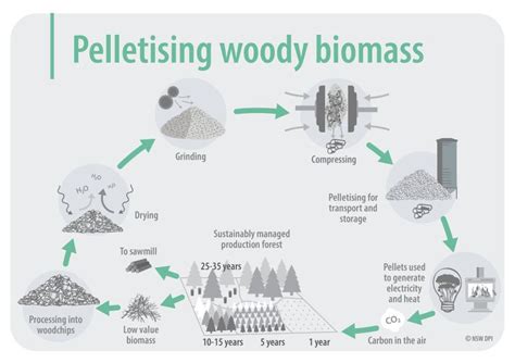 How Woody Biomass Can Be Pelletised To Produce Bioenergy In The Cobber Nswdpi Uniflow Power