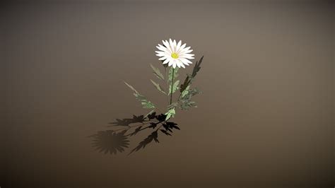 Ue5 Daisy Test Download Free 3d Model By Thunder Thunderpwn