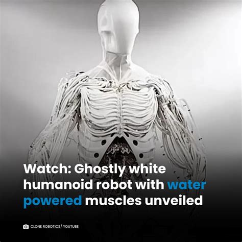 Clone Robotics Unveils Torso Interesting Engineering