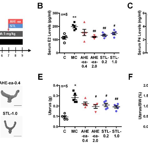 Figo Classification Of Uterine Fibroids According To Download Scientific Diagram