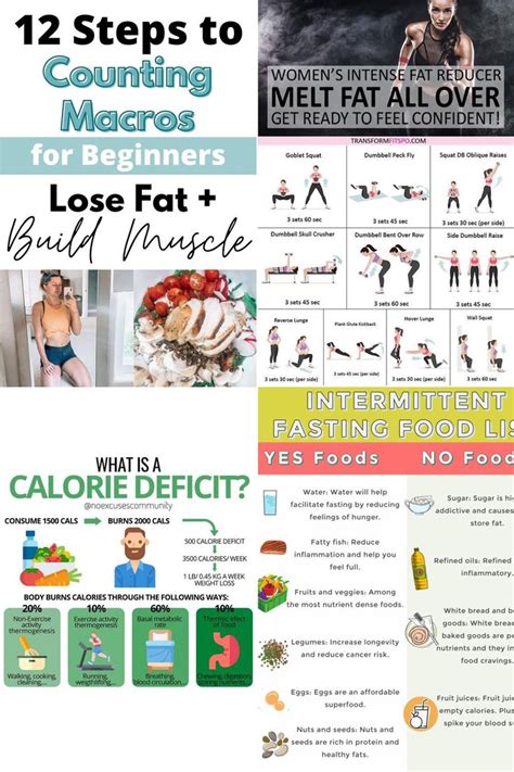 Counting Macros 101 A Beginners Guide