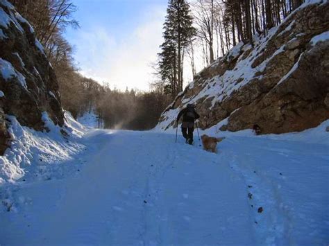 Voluharski Potopisi Rjava Skala Vogel 14112004