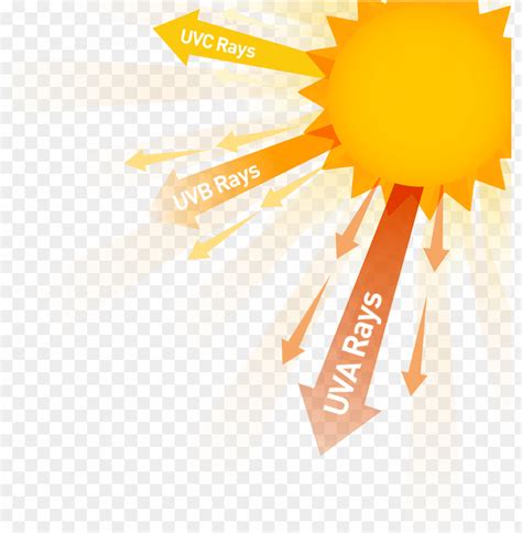 Free Download Hd Png Top Five Questions On Skin Cancer Ultraviolet