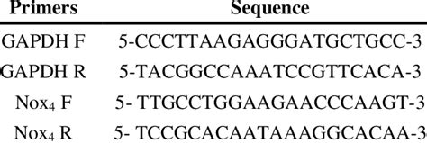 forward and reverse primers of nox4 and gapdh genes download