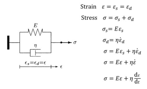 CSCS Chapter 16 Flashcards Quizlet