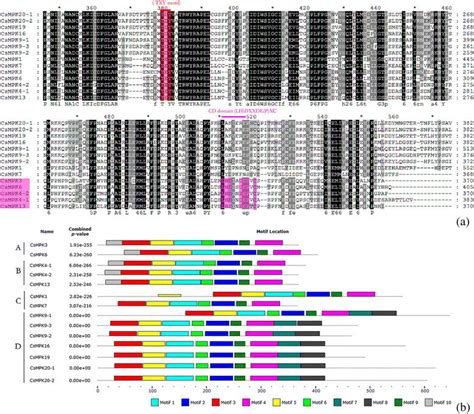 Sequence Alignment And Motif Analysis Of Csmapks A Multiple Sequence