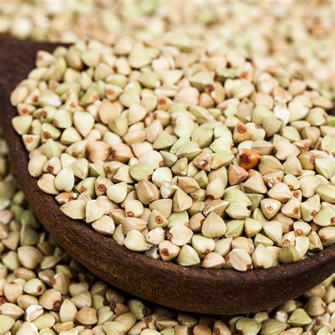 Is Buckwheat Chametz Dinweys Biotech Coltd