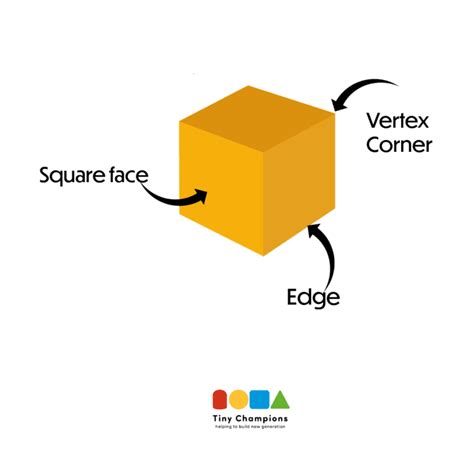 How To FIND The VOLUME Of A CUBE For Homebabe Babe Tiny Champions