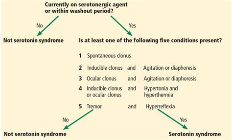 Serotonin Syndrome Preventing Recognizing And Treating It