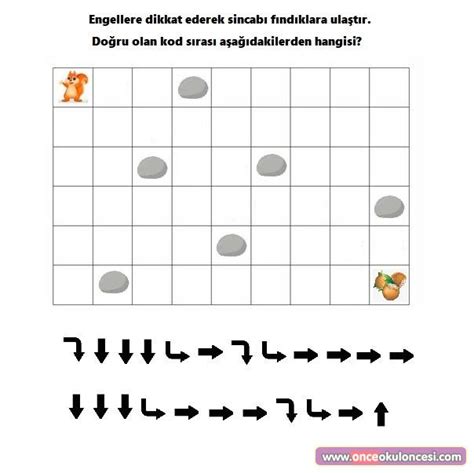 KODLAMA VE ALGORİTMA ETKİNLİKLERİ