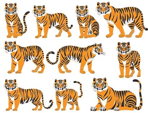 24000 Tiger Species Diversity Pictures