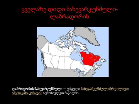 ჩრდილოეთ ამერიკა