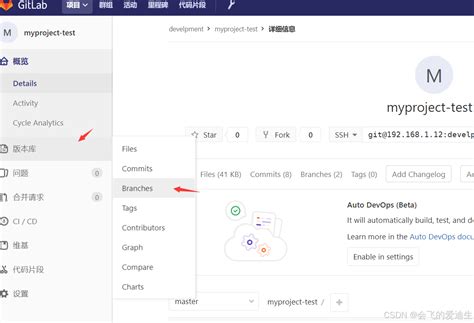 gitlab保护分支设置 gitlab设置保护分支 csdn博客