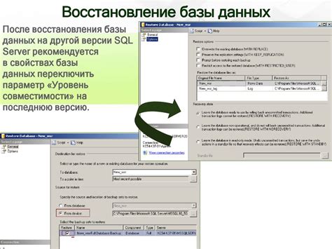 Резервное копирование и восстановление базы данных microsoft sql