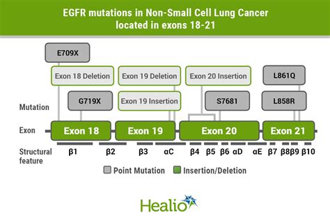Egfr Epidermal Growth Factor