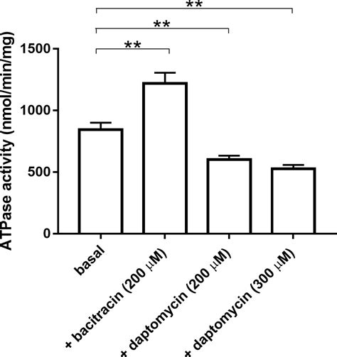 Daptomycin Avoids Drug Resistance Mediated By The Bceab Transporter In