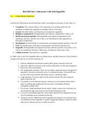 Biol PS Docx Biol Unit Eukaryotic Cells And Organelles Content Review