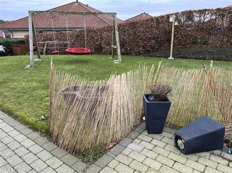 Backyard With Swing Set And Bamboo Fence Stock Image Image Of Color