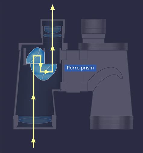 Types Of Binoculars Basic Information About Binoculars Nikon Consumer