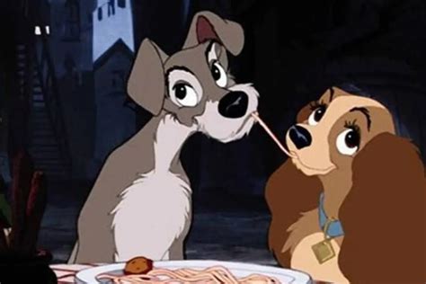 La Dama Y El Vagabundo Live Action