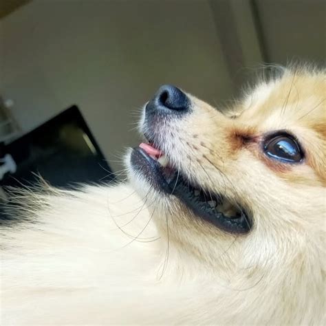 Daisuke 𓌉𓇋岡山グルメの旅 𓌉𓇋 Dai Suke Xx On Threads