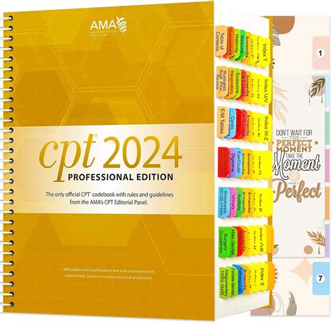 Index Tabs For Cpt 2024 Professional Edition 60 Cpt Book