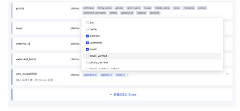 自定义 Oidc Scope Authing 文档