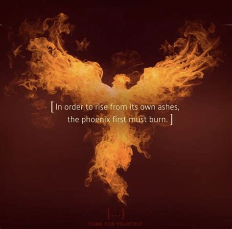 Inspirational Phoenix Quotes Rise From The Ashes Phoenix Sayings