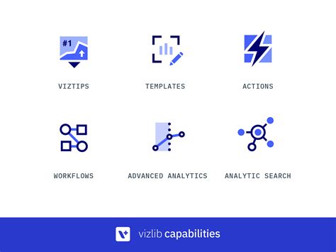 Icons Vizlib Capabilities By Mike Waite On Dribbble