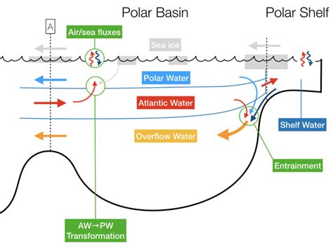 Talk On Conceptual Models Of Polar Overturning Circulations Thomas Haine Johns Hopkins