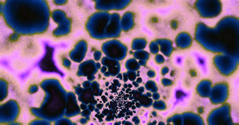⚙ Wilson Cowan Neural Fields In Webgl