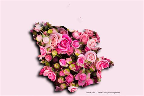 Laane Viru Mapa Fotografico