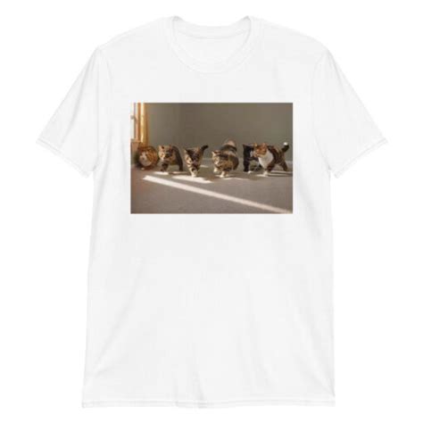 Gay Sex Cats T Shirt