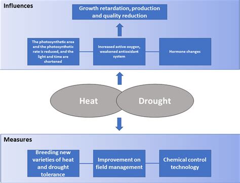 A Brief Overview Of The Influences Of Heat And Drought Stress On Rice Download Scientific