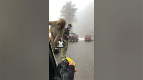 سبسکرایب تو بنتا ھے اس پیاری سی ویڈیو پر ️ ️ ️ Youtube