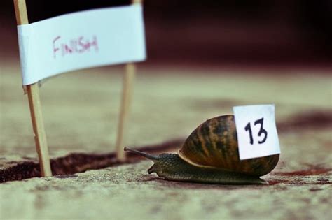 Jiteshwar Anjale On Linkedin Why Is Python So Slow Anthony Shaw