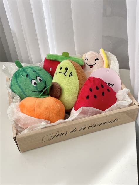 강아지장난감 과일선물세트 명절 생일