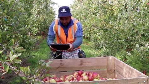 Croptracker Harvest Quality Vision For Receiving