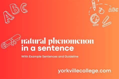 How To Use Natural Phenomenon In A Sentence Easy Examples