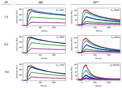 Concentration Analysis Plos One