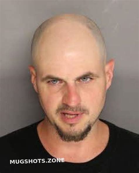 Williamson Aaron Shane 07052023 Berkeley County Mugshots Zone