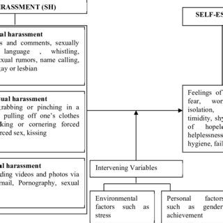 Conceptual Framework Showing The Convergence Between Sexual Download Scientific Diagram