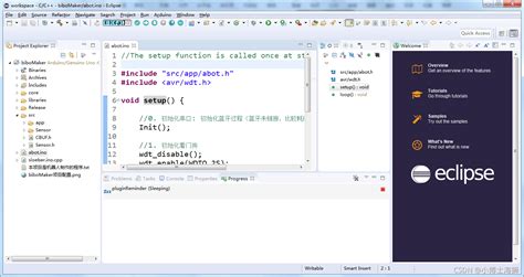 eclipse c 启动失败，could not initialize class could not initialize class