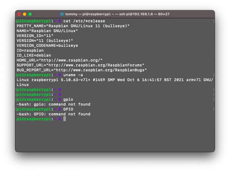 树莓派4b 安装 Raspios Bullseye Armhf Lite 系统后没有 Gpio 命令 树莓派没有 Gpio 命令树莓派4b Gpio V命令不存在 Csdn博客