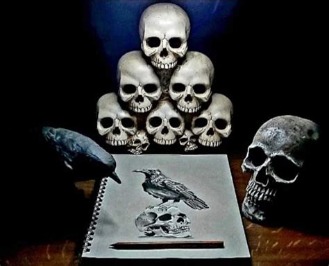 Crow On A Skull Drawing By Me With A Few Props No Filter R