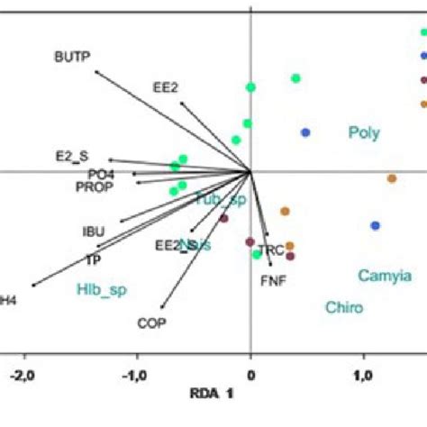 Redundancy Analysis Triplot Rda Showing The Relationship Between