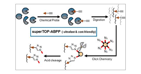A Simplified And Ultrafast Pipeline For Site Specific Quantitative