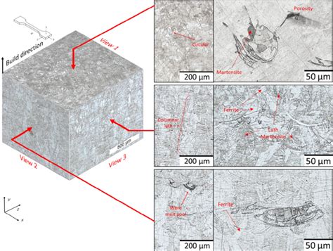 Microstructure Profile For 0° Build Direction Download Scientific Diagram
