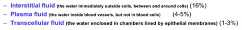 Body Fluid Compartments Ch 25 Flashcards Quizlet