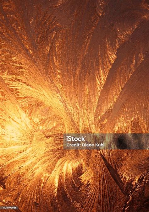 선라이즈 조명 뒤에서 유리 창에 청동 색된 서 리 패턴을 상세 1월에 대한 스톡 사진 및 기타 이미지 1월 겨울 계절 Istock